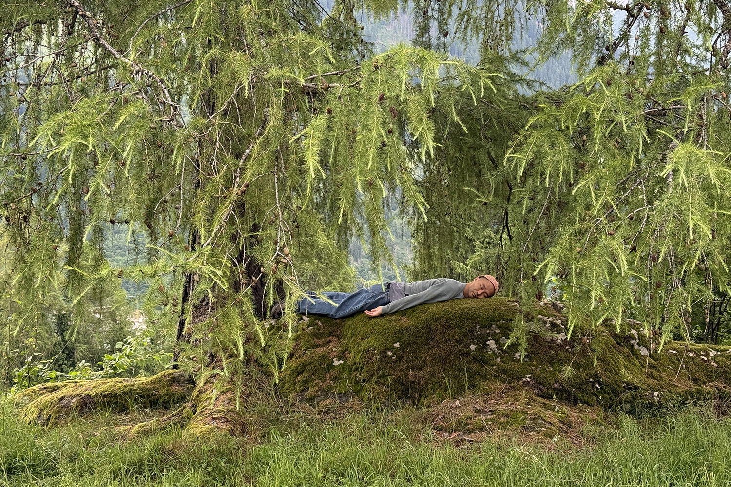 Adam Man / 12 / Programm 2025 / Calendar / Programme / brut Wien